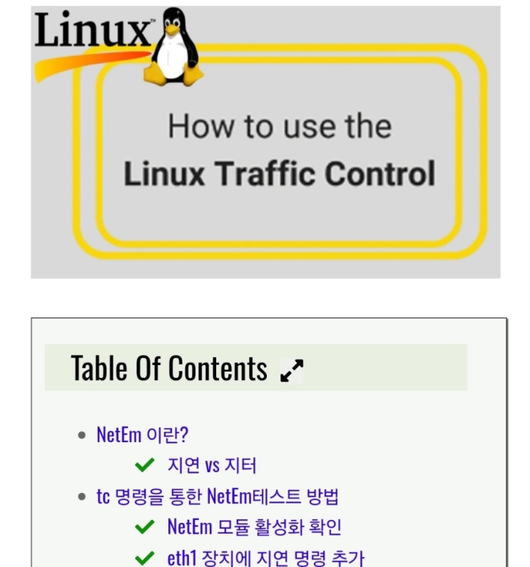 리눅스에서 NetEm(Network Emulator)를 사용하여 Traffic Control(패킷 지연,유실,대역폭 제한등)하고 ...