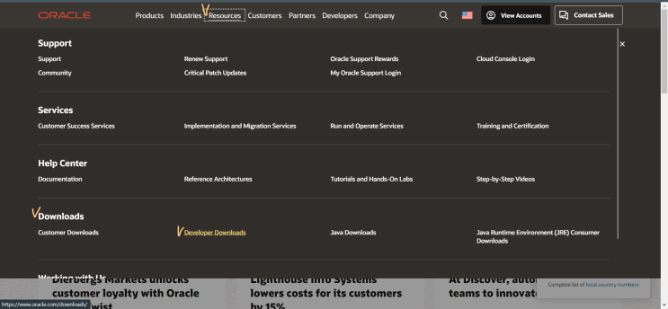 OracleDB SQL Developer 설치 | SQL 실습 환경 준비하기 [SQLD 자격증 대비] : 네이버 블로그