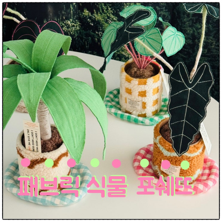 시들지 않는 패브릭 식물 포쉐뜨 배송부터 후기까지 : 네이버 블로그