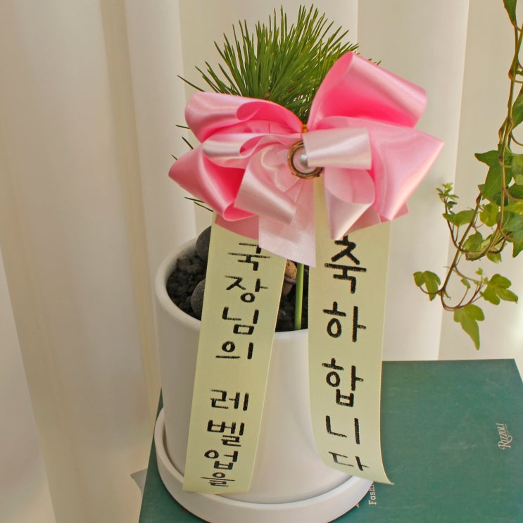 승진 축하 결혼 축하 리본 화환 문구 작성법 안내 다양한 예시 설명 네이버 블로그