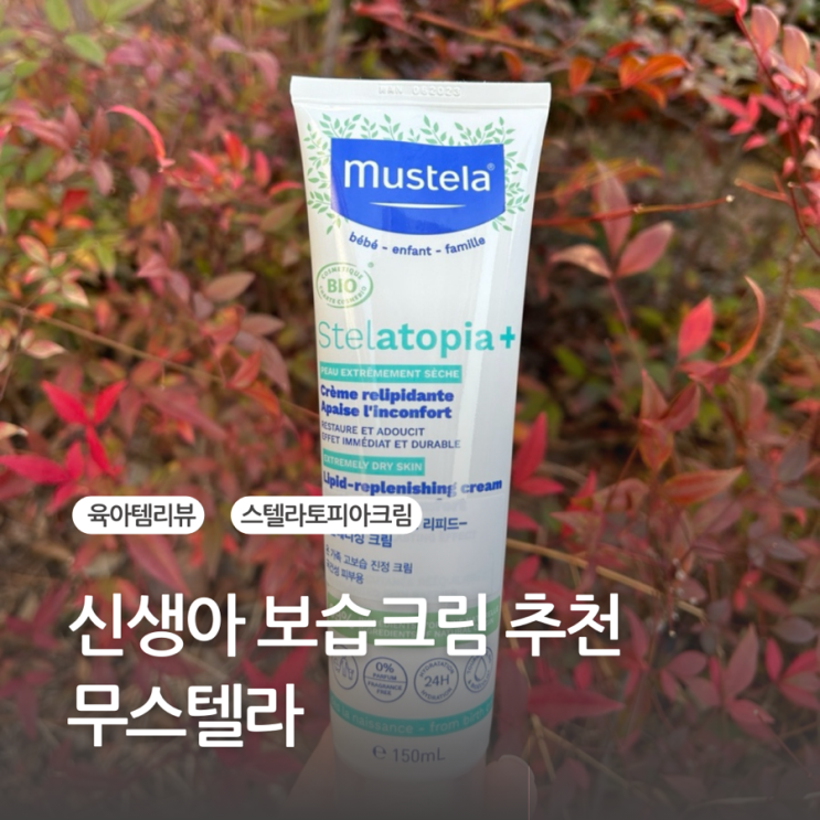 신생아 보습크림 추천 온가족 사용가능한 무스텔라 크림 네이버 블로그