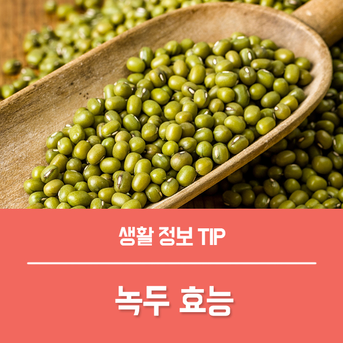 녹두효능 Top5 녹두죽 효능 부작용 녹두전 칼로리는 네이버 블로그