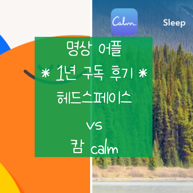나의 명상하는법 _ Headspace 와 Calm 어플 1년 구독 후기 및 비교 : 네이버 블로그