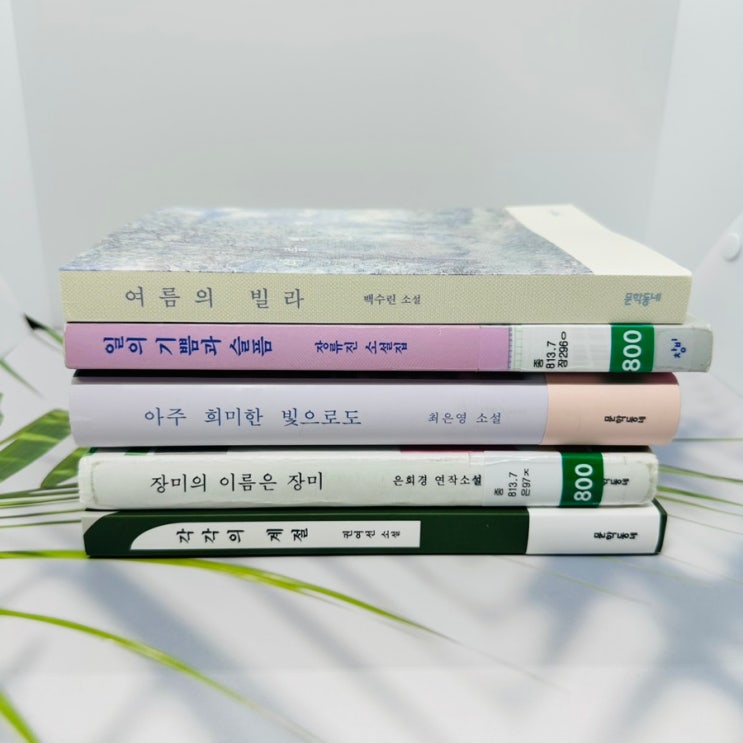 소설책 추천 한국 여성의 감정을 섬세하게 그려낸 소설 5 아주 희미한 빛으로도 여름의 빌라 일의 기쁨과 슬픔 각각의 계절