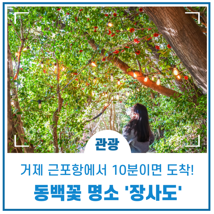 거제에서 10분이면 갈 수 있는 동백꽃 명소 장사도 해상공원 I 거제 장사도 배편 유람선 경남 겨울 여행지 추천