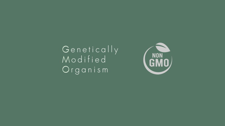 GMO(유전자 변형 농수산물)의 의미와 사례, 관련된 이야기들 : 네이버 블로그