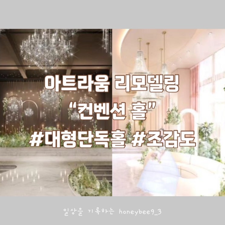 아트라움 컨벤션홀 2024년 리모델링 조감도 확정 공개 대구 경산 웨딩홀 어두운 홀 더아트라움 3층 네이버 블로그