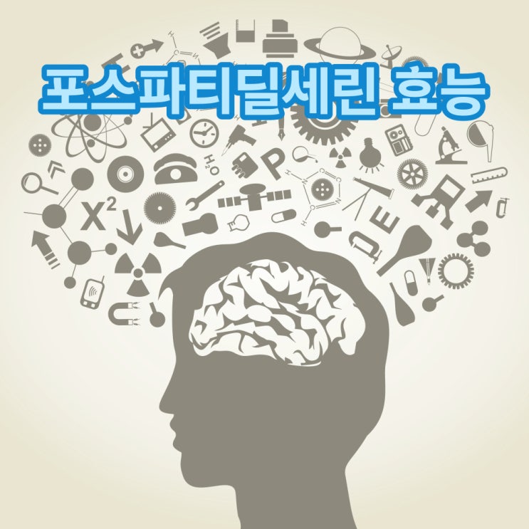 기억력 두뇌영양제 포스파티딜세린 효능 두뇌케어 네이버 블로그
