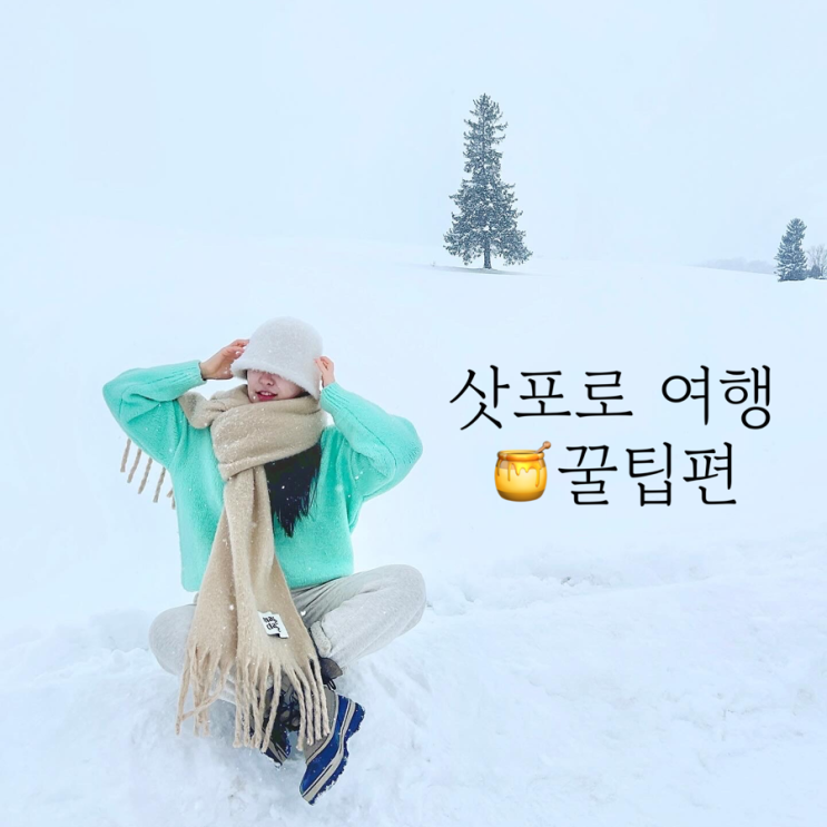 삿포로 2박3일 여행경비 준비물 가져가면 좋을 것들 E심 비짓재팬 번역어플파파고 일본주류반입 눈사진보정하는법 : 네이버 블로그