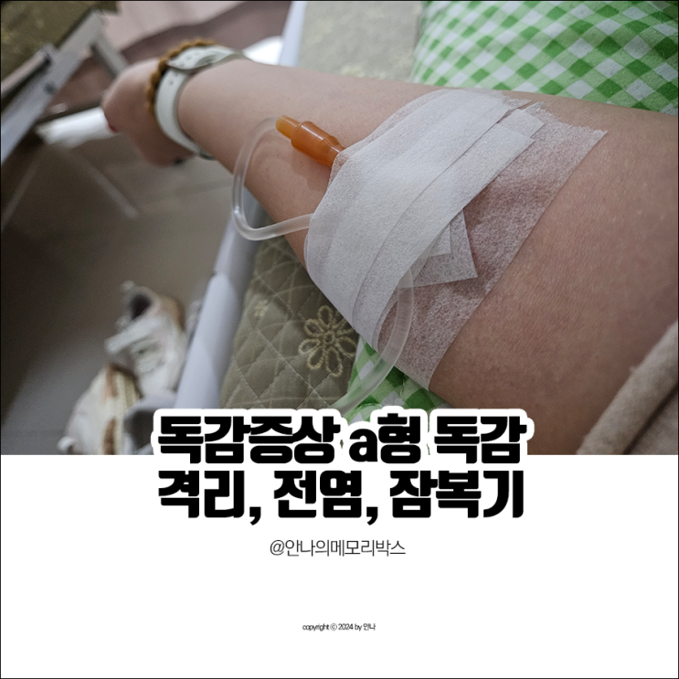 독감증상 열 순서 A형 독감 격리 전염 잠복기 고열나면 확진 네이버 블로그