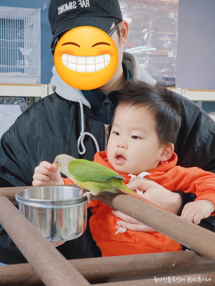 안산 이색카페 앵무새카페 안산 아기랑 갈만한곳 버드스팟 주차 입장료 먹이체험 네이버 블로그