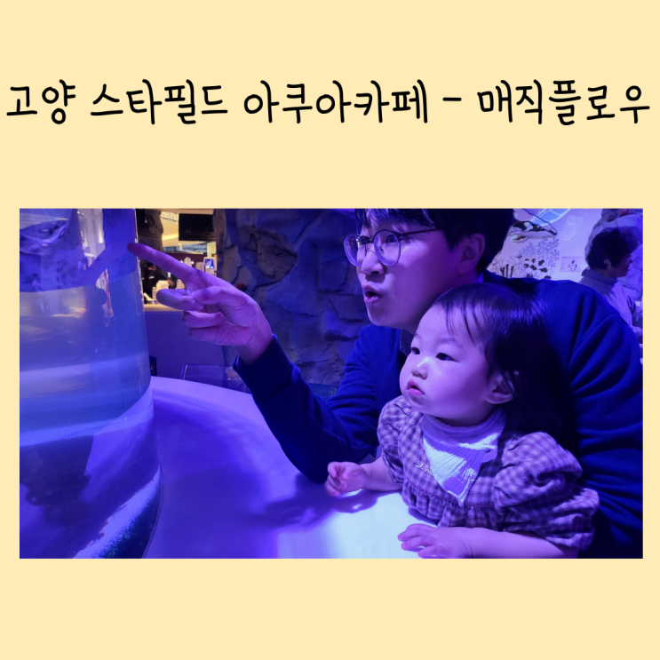 고양스타필드 나들이 물고기카페 아쿠아카페 매직플로우 With17개월아기 네이버 블로그