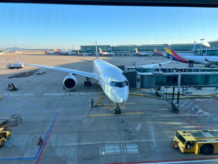 인천에서 방콕 타이항공 TG659 방콕에서 인천 타이항공 TG656 비즈니스 후기 : 네이버 블로그