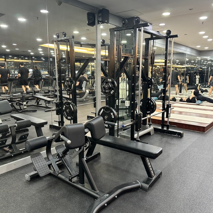 고덕역 헬스장 마이짐 재등록 후기 ㅣ 다이어트 근력 키우기 목표 💪 ㅣ Pt 헬스 추천 네이버 블로그