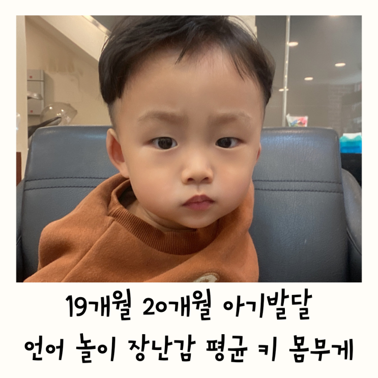 19개월 20개월 아기 언어 발달 키 몸무게 놀이 자석블럭 장난감 네이버 블로그