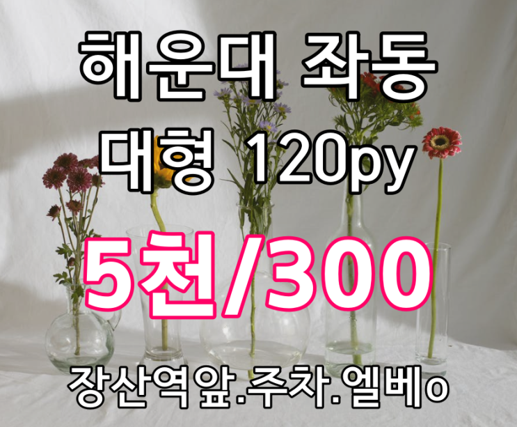 해운대구 좌동 장산역 도보2분 대형평수 전용 120py 상가 사무실 주차가능 우동 중동 다량보유중 해운대에서 대형상가 찾으신다면