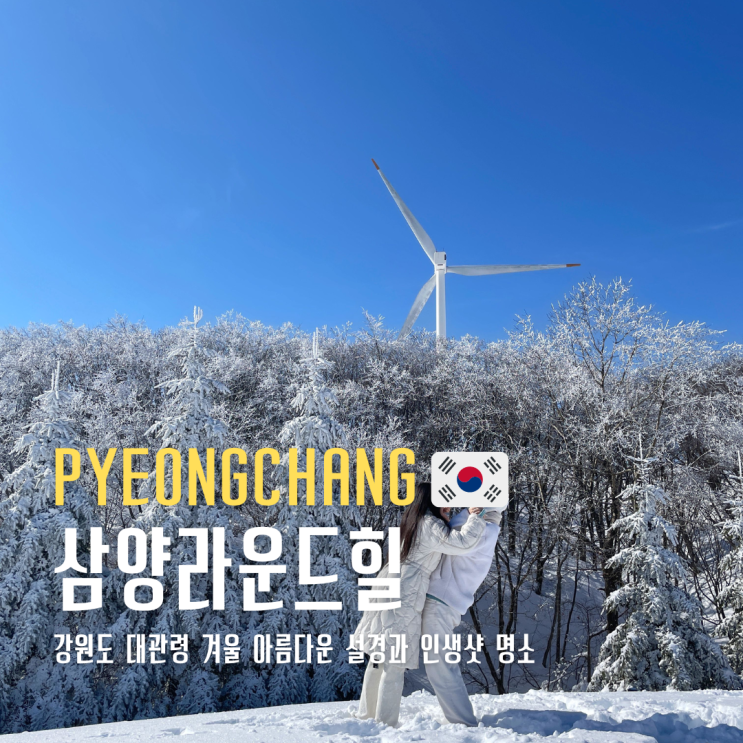 강원도 대관령 겨울여행 설경명소 삼양라운드힐 오픈런 방문 후기 네이버 블로그