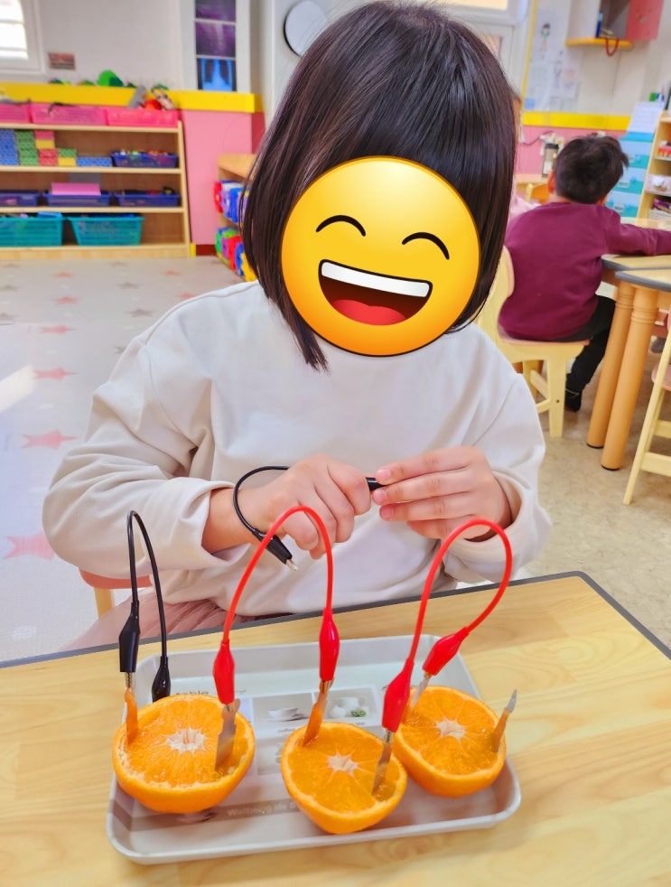 애니 사이언스 공주에서 그림책 수업과 과학수업을 함께 경험할 수 있어요 겨울 추천 책 네이버 블로그