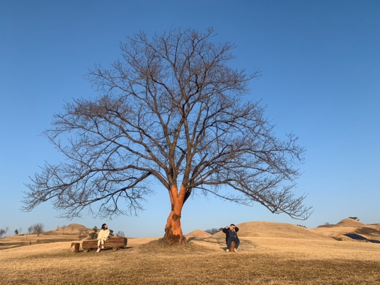 함안여행세계유산 말이산고분군 인생 포토존아이와 사진 찍기말이산 고분전시관 관람영상 네이버 블로그