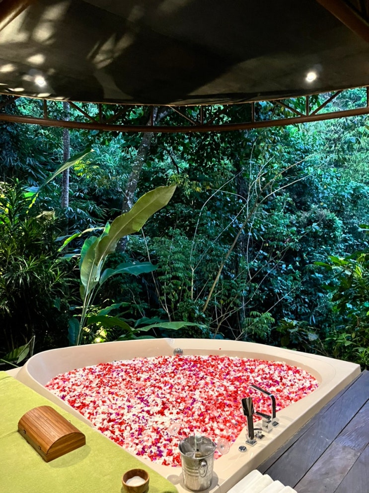 [인도네시아 발리] 여름휴가 우붓 체험편 - 정글 속에서 마사지 스파 받기 K Club Ubud Mekar Ubud Jungle ...
