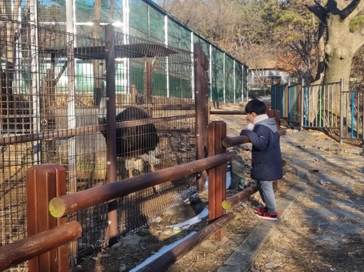무료입장 인천대공원어린이동물원 겨울에도 OK! : 네이버 블로그