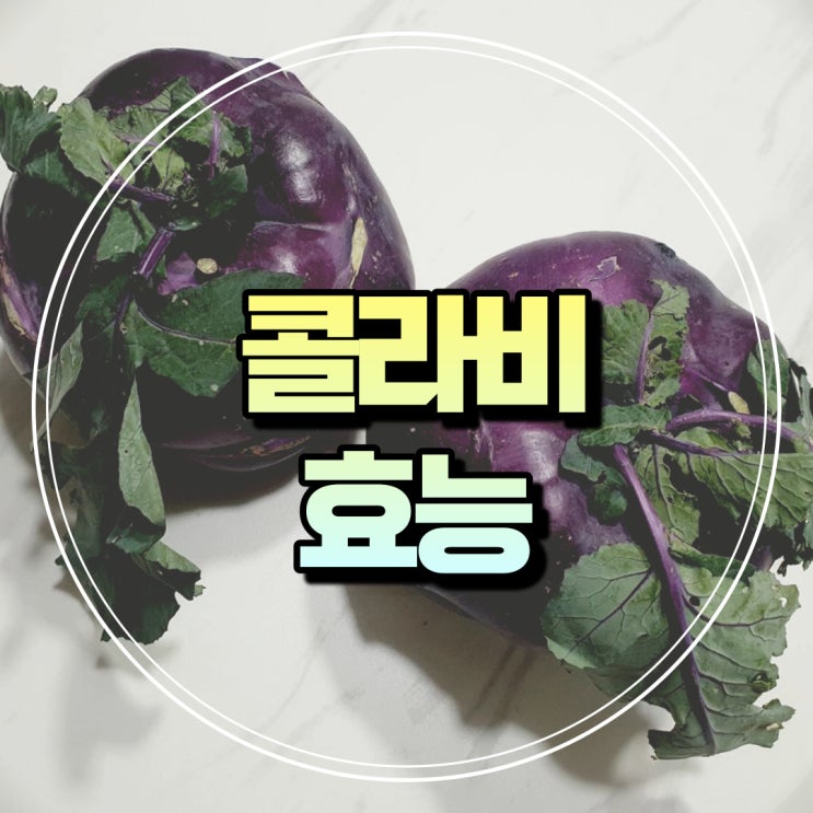 콜라비효능 부작용 칼로리 먹는법 네이버 블로그