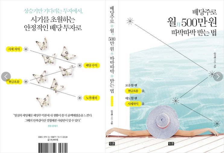 배당주로 월500만원 따박따박 받는 법 요약줄거리 배당투자의 부동산대비 차이점 현금흐름 시세차익 네이버 블로그