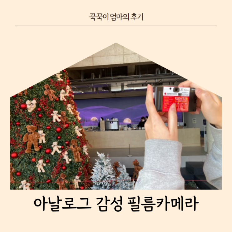코닥 필름카메라 입문으로 좋은 아그파 일회용카메라 네이버 블로그