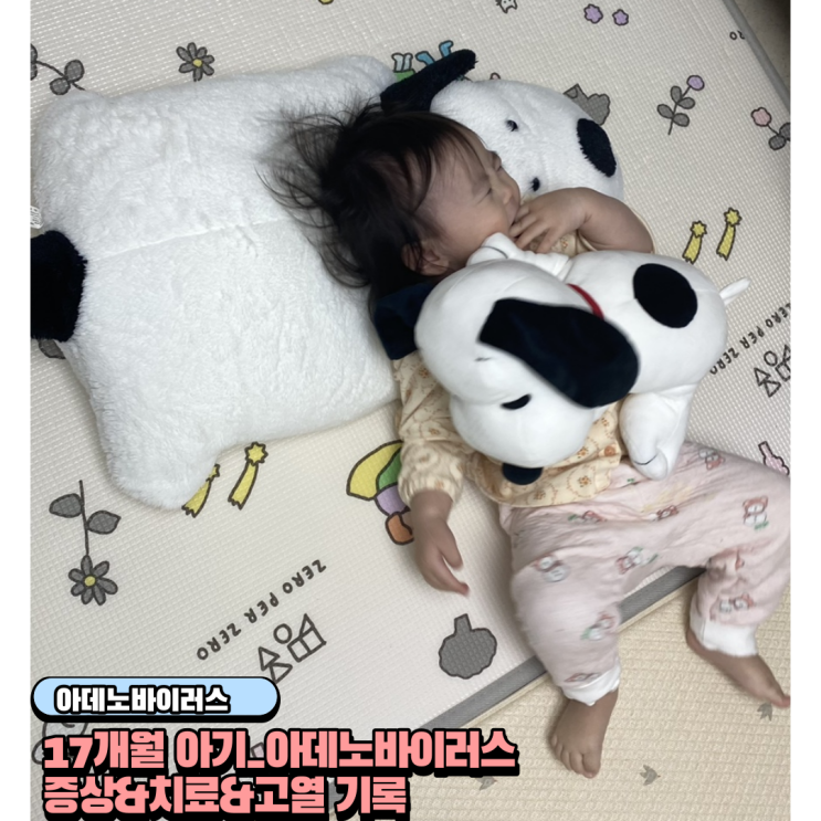17개월 아기 아데노바이러스 기록고열 안 잡힘 눈꼽 해열제 교차복용 저체온증성인 전염 증상 네이버 블로그