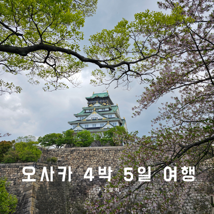 일본 오사카 4박 5일 벚꽃 여행 ④ 2일차 주유패스 오사카성 우메다 공중정원 헵파이브 대관람차 네이버 블로그