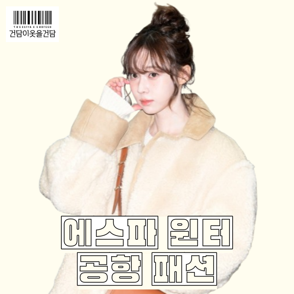 에스파 윈터 공항패션 속 시어링 코트 크로스백 어그슬리퍼 옷 정보 네이버 블로그