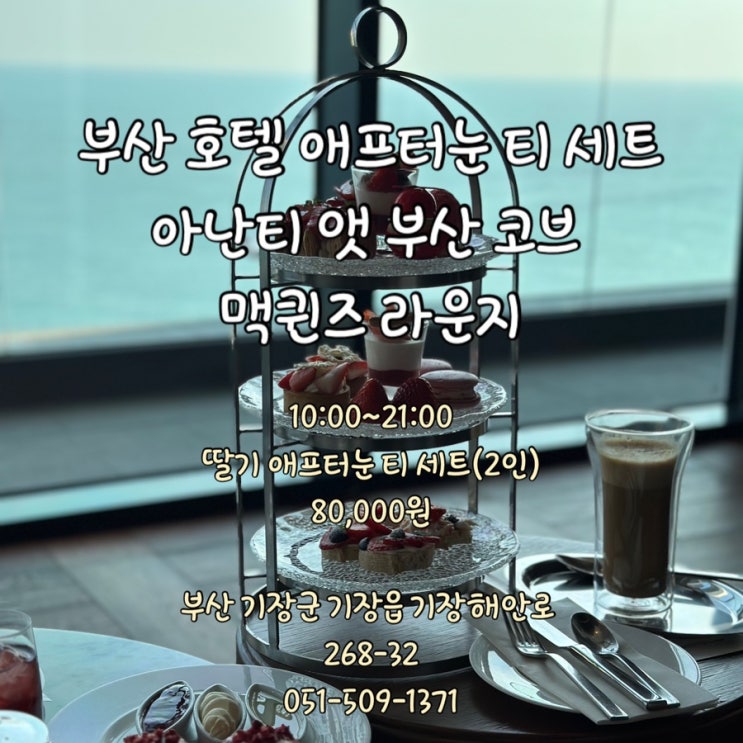 부산 호텔 딸기 애프터눈 티세트 기장 아난티 앳 부산 코브 맥퀸즈 라운지 네이버 블로그