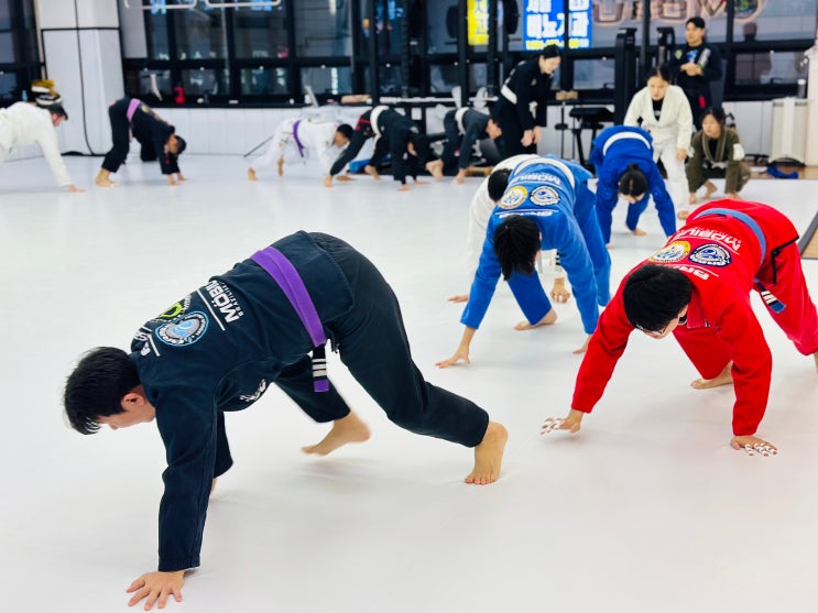 수원주짓수 / 인계동주짓수 - 월요병 이겨내는 법 알려드림.txt / 아주대주짓수 / 매교주짓수 / 여자주짓수 / 다이어트 ...