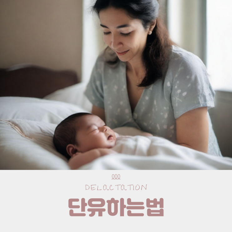 단유하는법 자연단유 젖말리는방법 단유차 곰돌이단유법 네이버 블로그