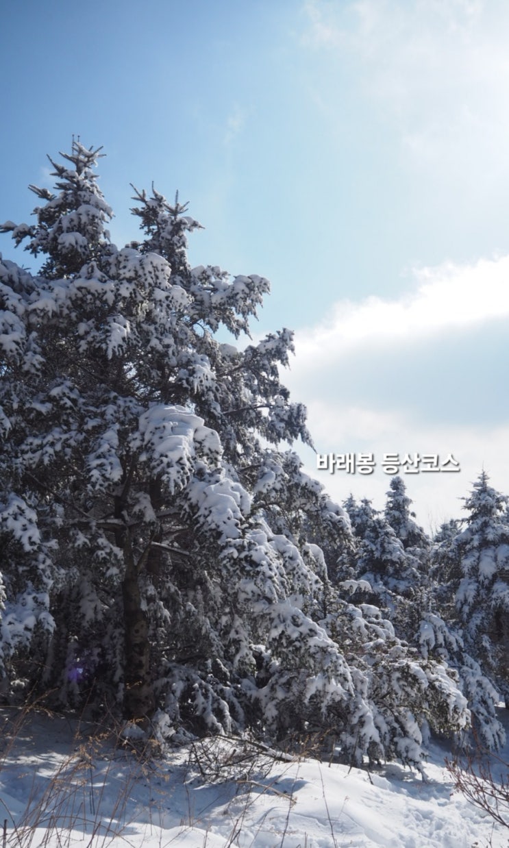 (초보등산) 겨울 지리산 바래봉 등산코스 _ 용산주차장부터 : 네이버 블로그