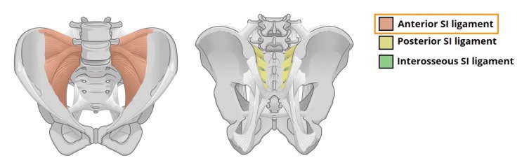 Yeoman’s Test 천장관절과 후관절 증후군 검사에 대해 알아보자 : 네이버 블로그