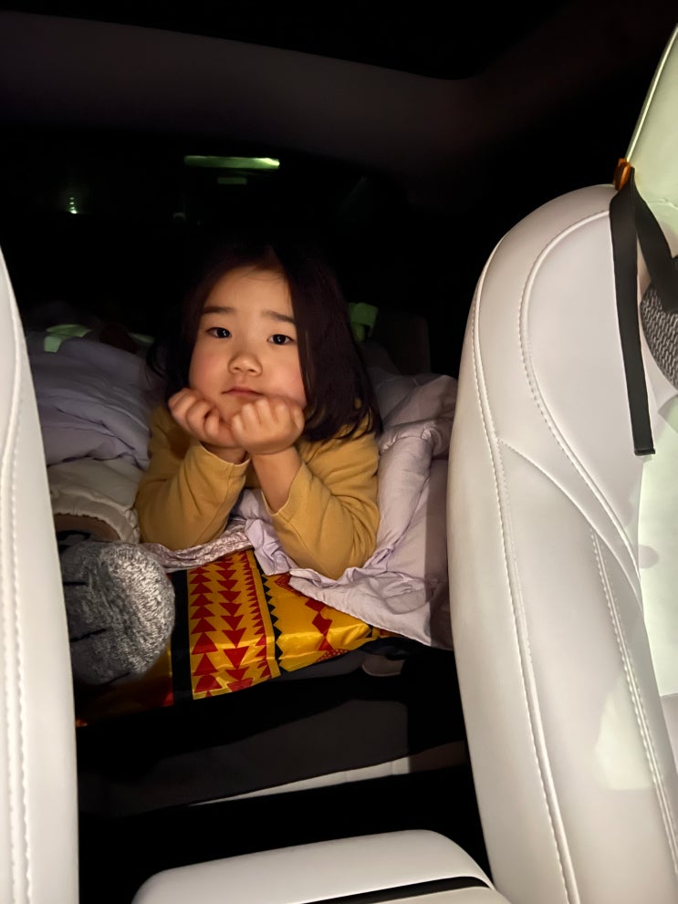 [여행]24 01 13 테슬라차박 겨울캠핑 무주여행 덕유대야영장 오토캠핑장 덕유산국립공원 아이랑 캠핑 여행 네이버 블로그