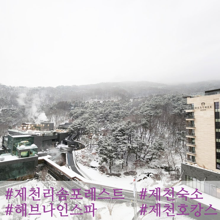 제천여행 호캉스 포레스트 리솜 레스트리 해브나인스파 G70 이용후기 네이버 블로그