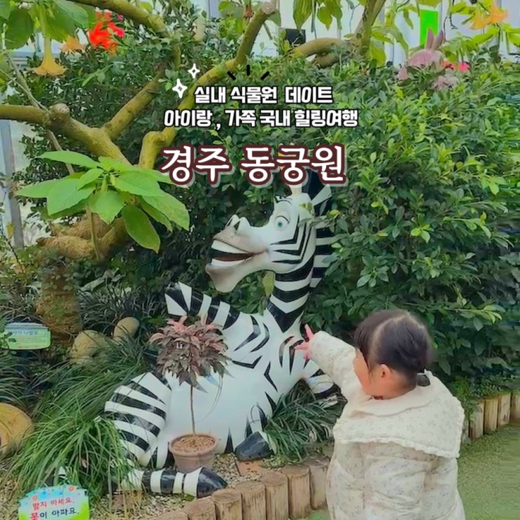 경주 동궁원 식물원 실내 데이트 아이랑 가족 국내힐링여행 네이버 블로그