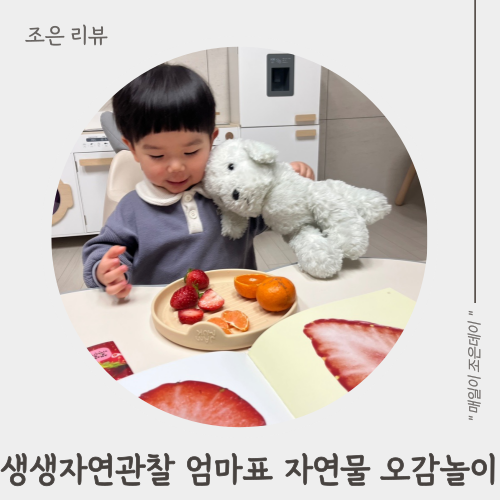블루래빗 자연관찰 전집과 함께 엄마표 자연물 오감놀이 네이버 블로그