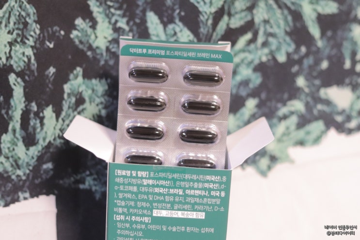 치매예방뇌영양제 효과 포스파티딜세린이란 네이버 블로그