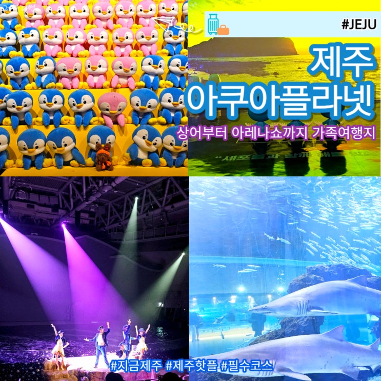 제주도 동쪽 서귀포 실내 아이들과 가볼만한곳 아쿠아플라넷 제주 할인 네이버 블로그