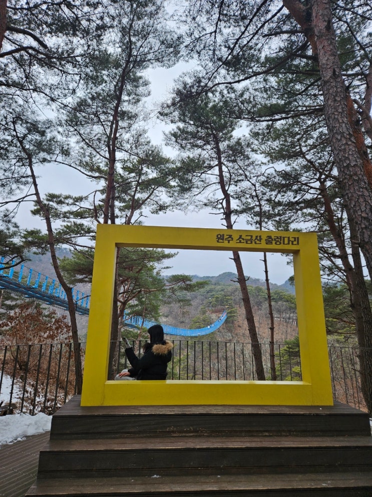 소금산 그랜드밸리 출렁다리 울렁다리매표소무료주차왕복시간 겨울트래킹 네이버 블로그