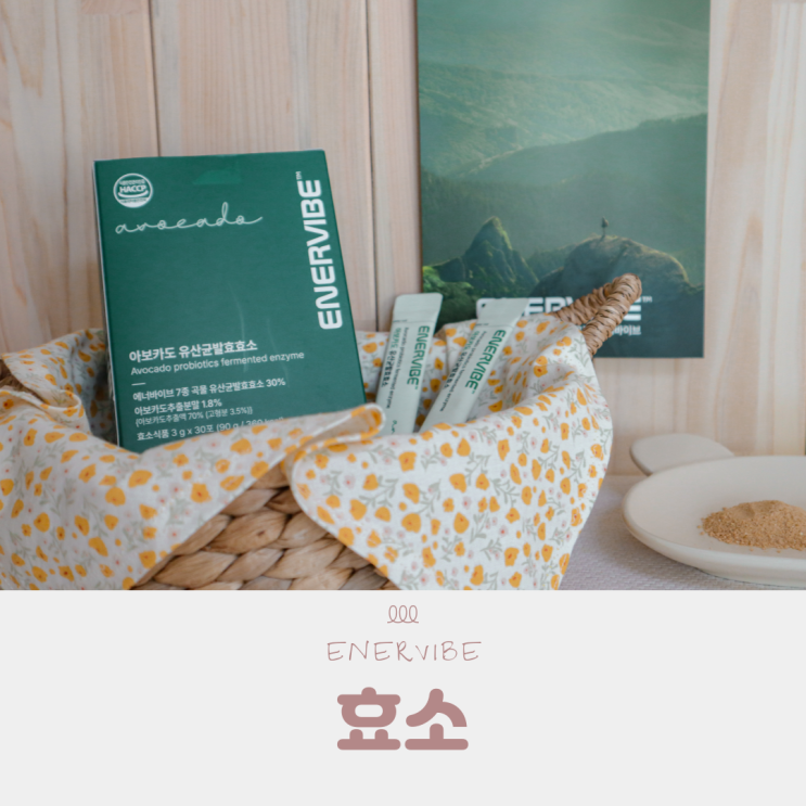 임산부 소화불량 임산부 효소 추천 에너바이브 효소의 기능 네이버 블로그