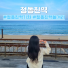 누리로 바다열차 여행 정동진역 볼거리 기차시간표 레일바이크 네이버 블로그