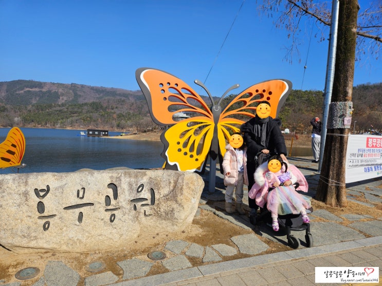 대구 아이와 실내 가볼만한 곳 봉무공원 나비생태원 어린이체험 네이버 블로그