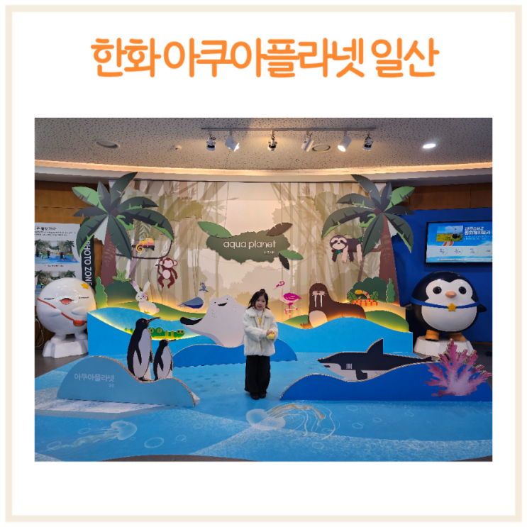 한화 아쿠아플라넷 일산 아쿠아리움 공연 입장권 키즈카페 할인 팁 네이버 블로그