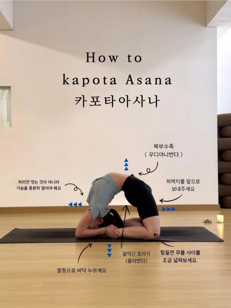 [개롱역요가 / 요가섬] 카포타아사나 Kapotasana 접근법 : 네이버 블로그
