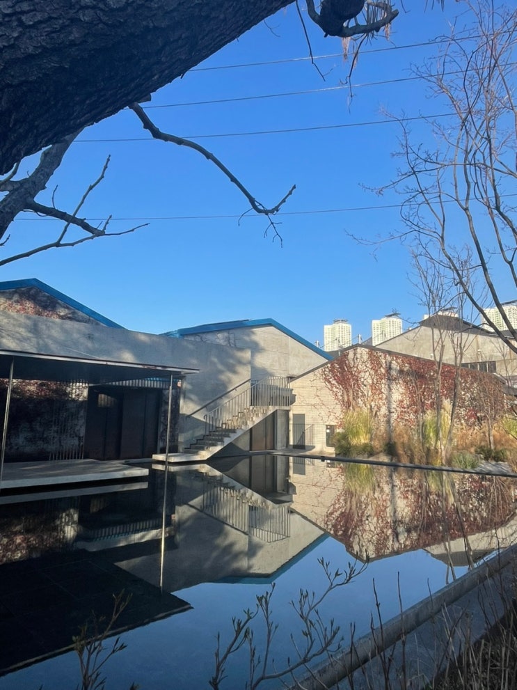 F1963 달빛정원 & 테라로사 수영(ft. YES24 중고도서 서점) : 네이버 블로그