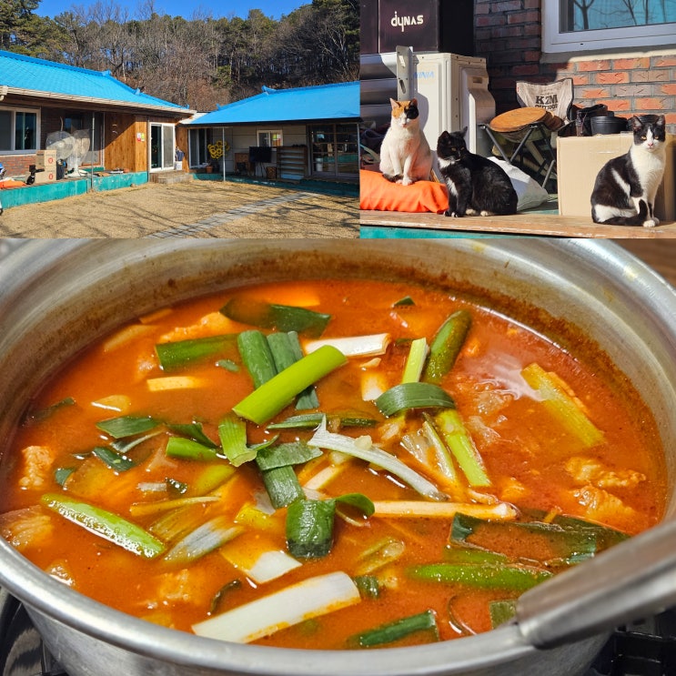 청양 장평면 정여사 고추장찌개 알프스마을 맛집 부여여행 중 가기 좋은 청양 현지인 맛집 네이버 블로그